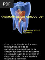 Clasificacion de Vertucci | PDF | Diente | Anatomia dental