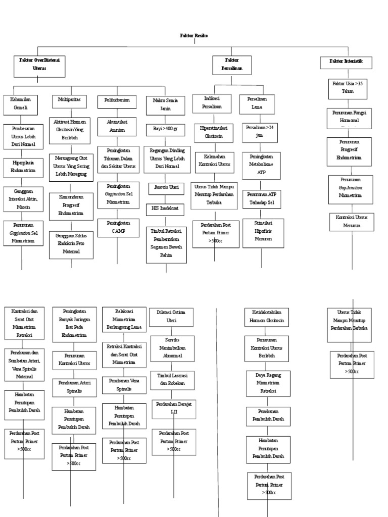 Pathway Atonia Uteri Teori | PDF