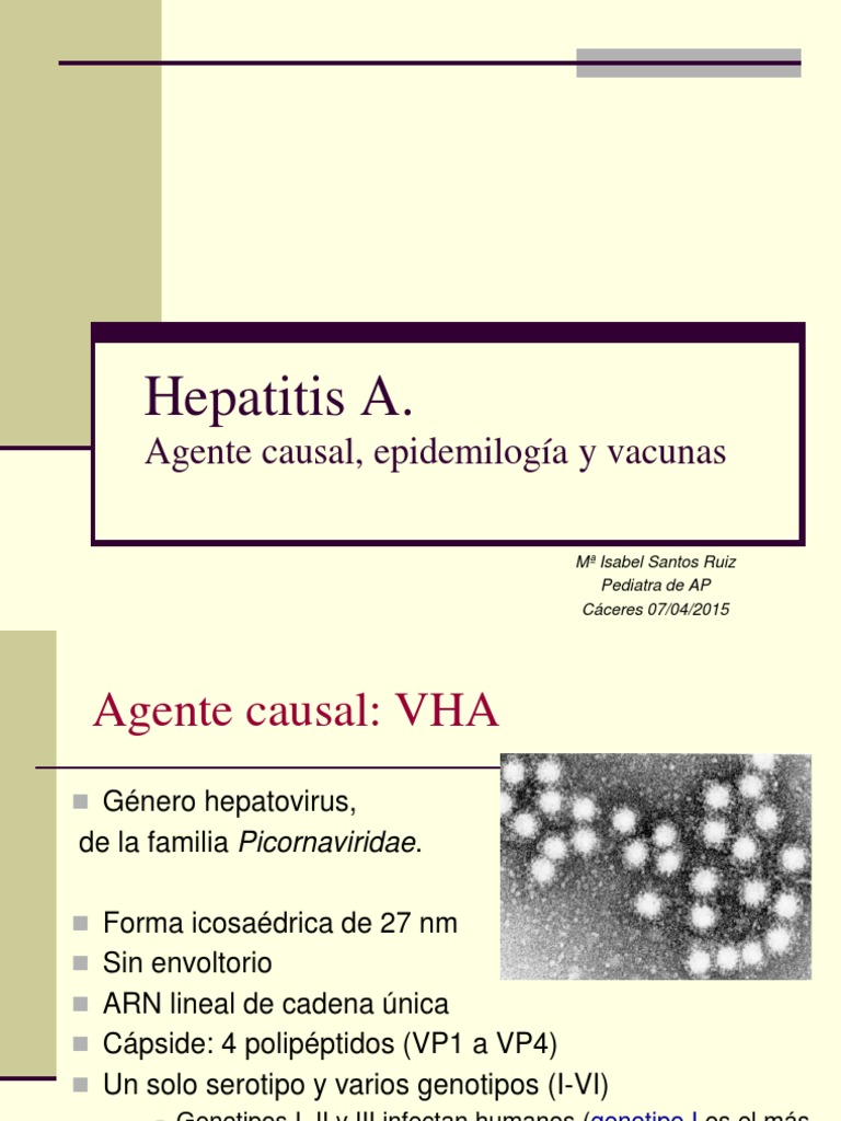 Hepatitis A PDF | PDF | Hepatitis | Vacunas