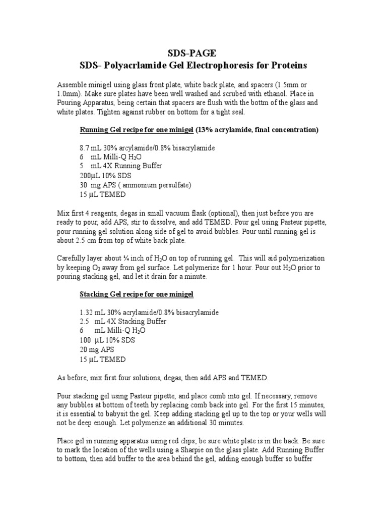 SDS-PAGE Protocol for Protein Analysis | PDF | Gel Electrophoresis ...