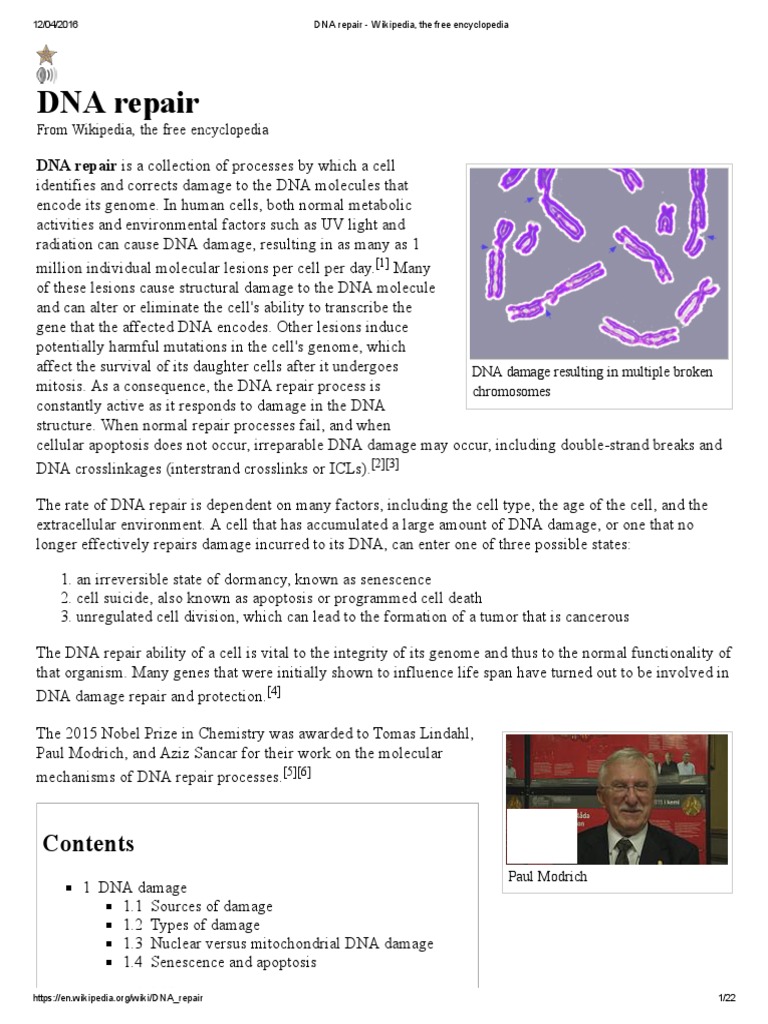 DNA Repair - Wikipedia, The Free Encyclopedia | PDF | Dna Repair | Mutation
