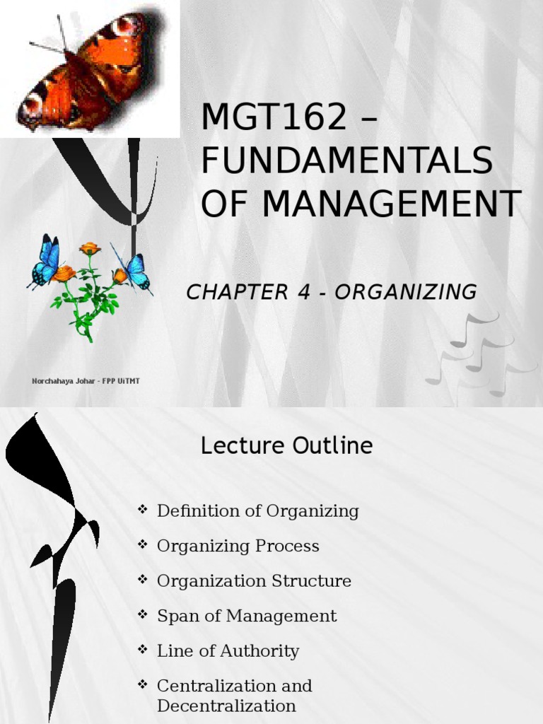 MGT162 - 4 Organizing Jan 2016 | PDF | Interdependence | Business