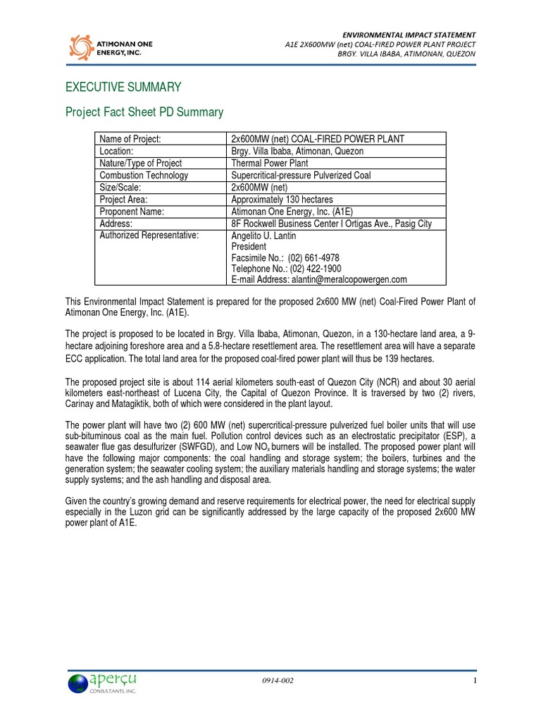 State Exec Summary | PDF | Coal | Environmental Impact Assessment