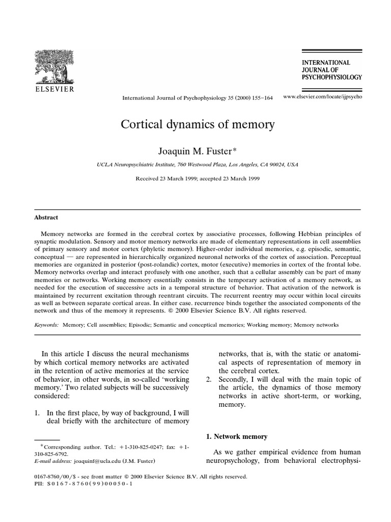 Cortical Dynamics of Memory | PDF | Cerebral Cortex | Memory
