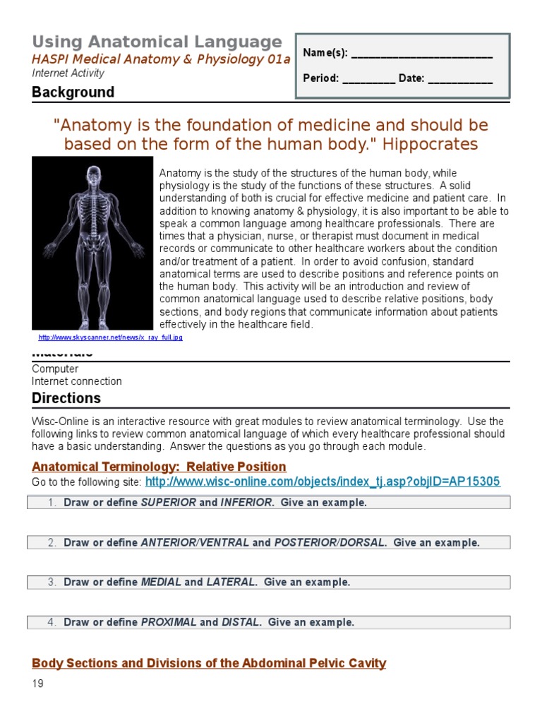 01a-using-anatomical-language-pdf-anatomical-terms-of-location