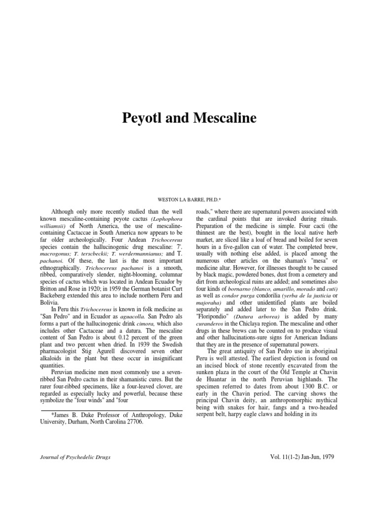 The Ancient and Widespread Ritual Use of Mescaline-Containing Cacti in ...