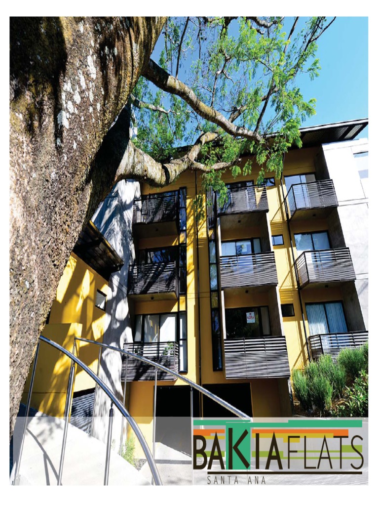 Presentacion Bakia Flats | PDF