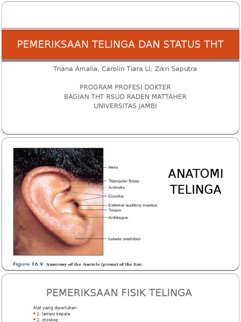 Pemeriksaan Telinga Dan Status THT | PDF
