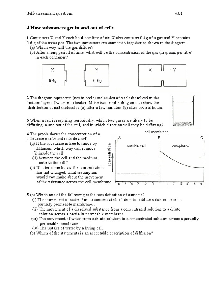Diffusion Osmosis Questions | PDF | Osmosis | Cell Membrane