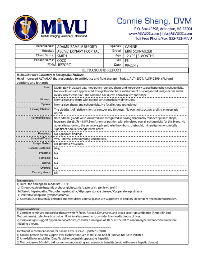 Sample Ultrasound Report | PDF | Adrenocorticotropic Hormone | Medical ...