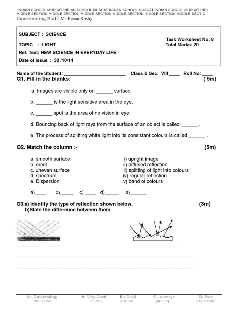 Class VIII Science Worksheet Light Task Worksheet | PDF
