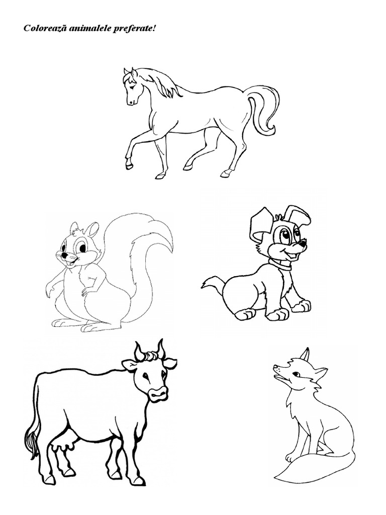 Fise de Lucru Cu Animale Domestice Si Salbatice