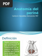 Anatomía y Fisiología Anorrectal | PDF | Recto | Sistema digestivo
