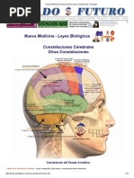 La Nueva Medicina Cuentos de Hamer Elisa Tiene Dolor de Garg | PDF | Biología | Medicina
