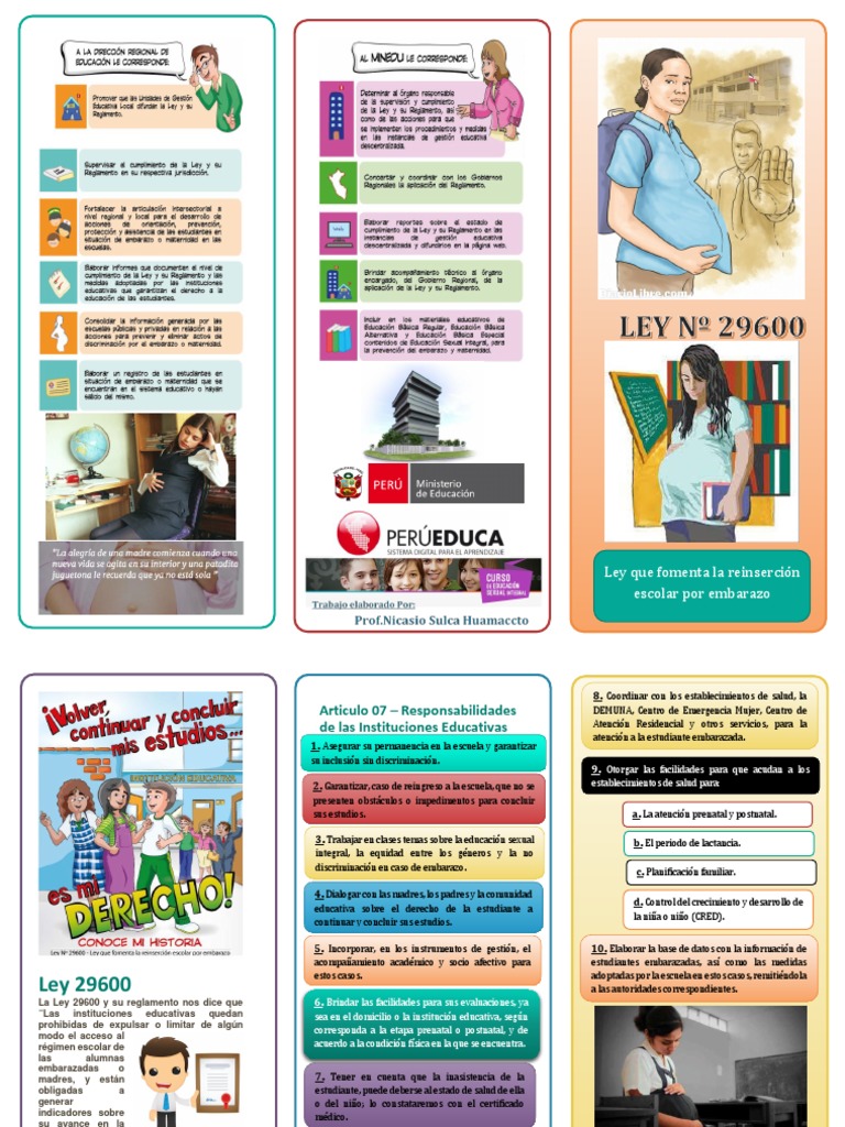 Triptico Ley 29600 | PDF