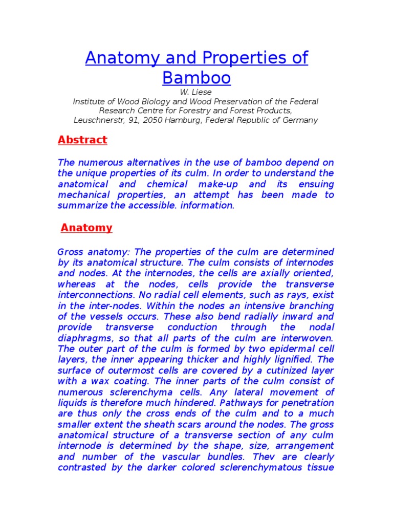 Anatomy and Properties of Bamboo | PDF | Tissue (Biology) | Lignin