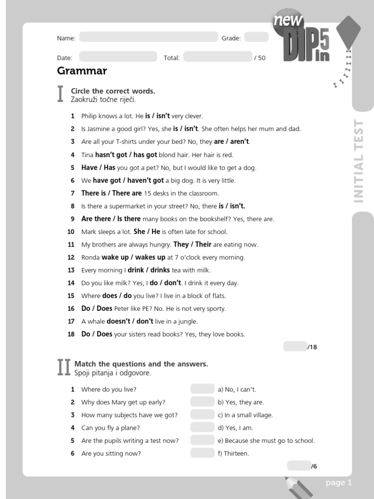 Initial Test Dip in 5 | PDF
