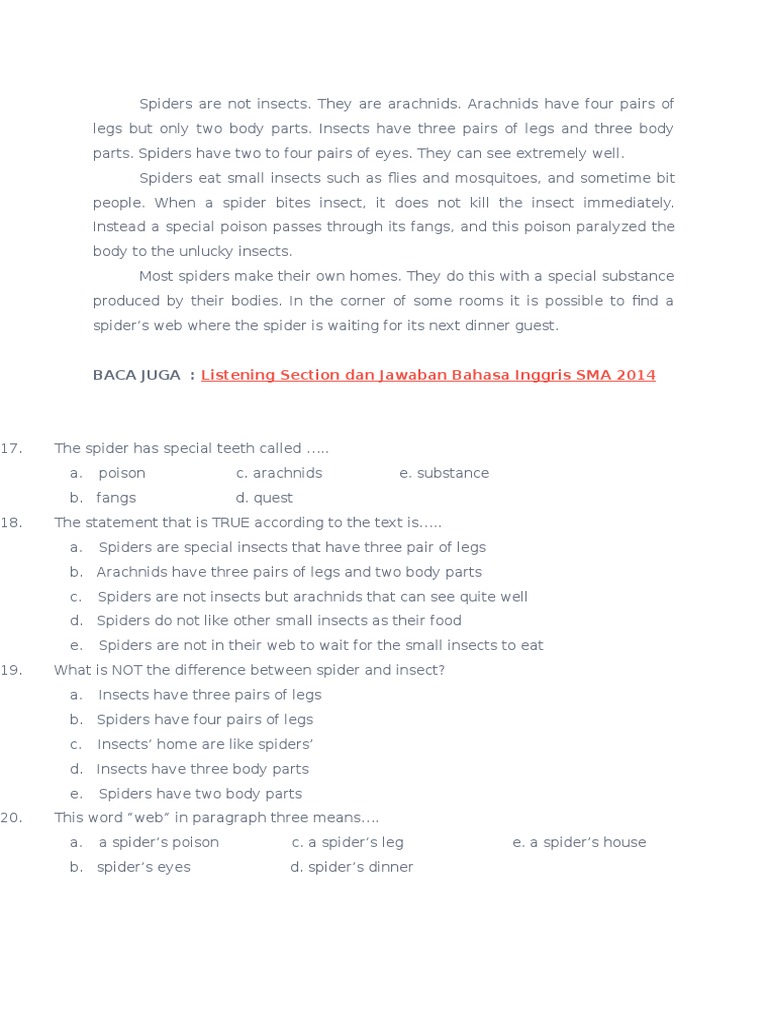 Spiders Are Not Insects | PDF