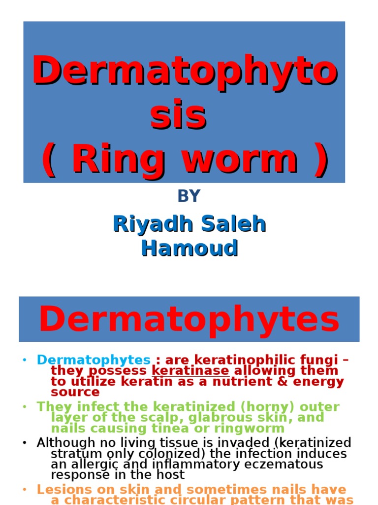 Dermatophytes | PDF | Cutaneous Conditions | Health Sciences