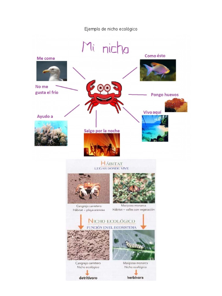 Ejemplo de Nicho Ecológico