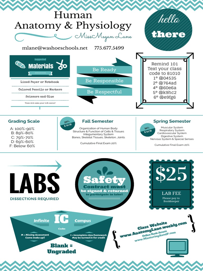 Human Anatomy Physiology 1 | PDF