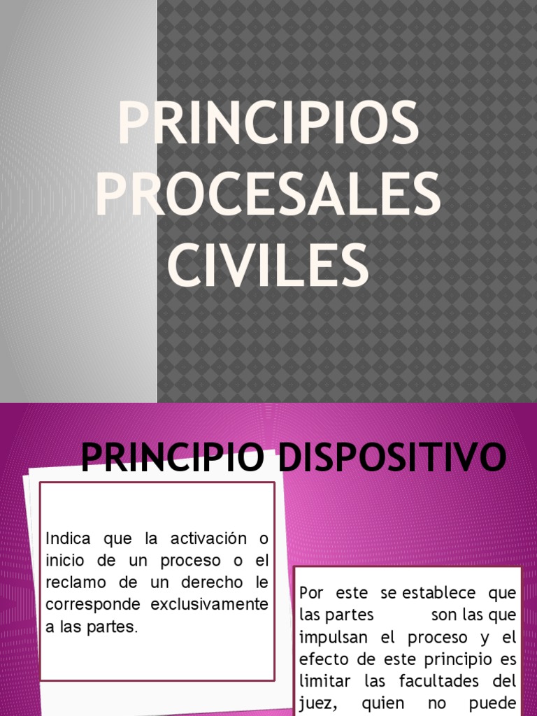 Los Principios Procesales | PDF | Ley procesal | Evidencia (ley)