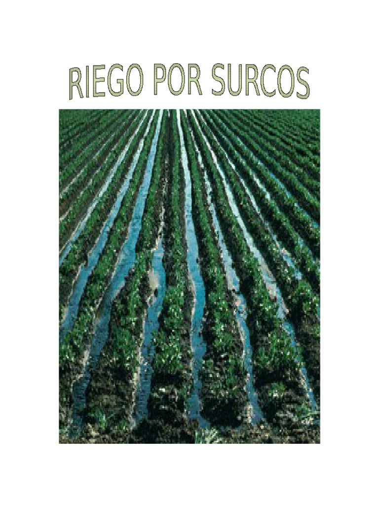 Diseño de Riego por Surcos para Maíz | PDF | Riego | Descarga (hidrología)