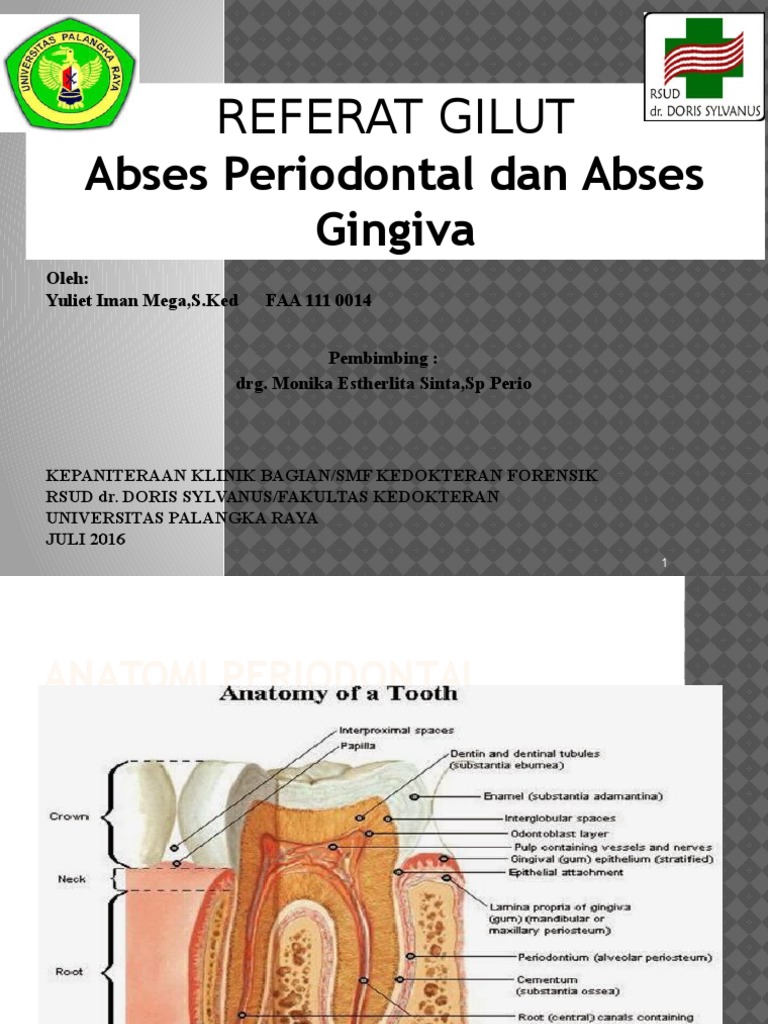 Abses Periodental Dan Abses Gingiva | PDF