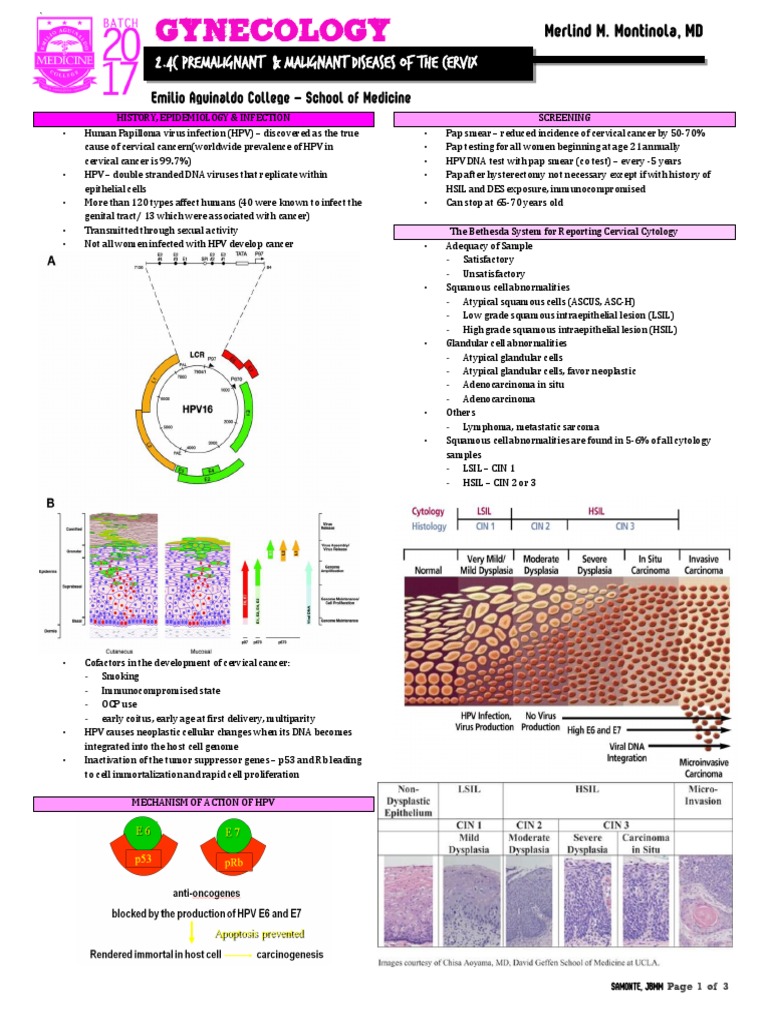 Premalignant & Malignant Diseases of The Cervix | PDF | Cervical Cancer ...