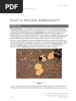 Metallurgical Testwork Essentials | PDF | Metallurgy | Iron Ore