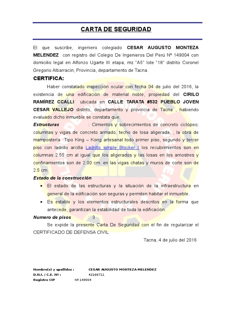 Carta de Seguridad | PDF