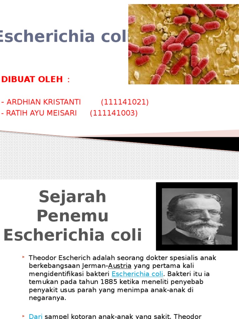 Escherichia Coli | PDF | Kesehatan Holistik