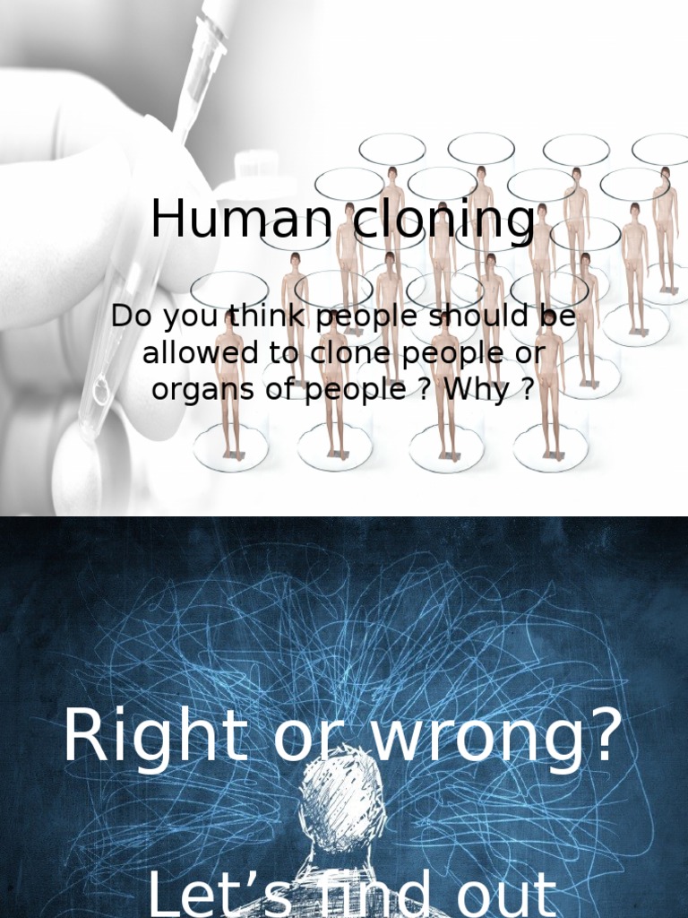 Human Cloning: Do You Think People Should Be Allowed To Clone People or ...