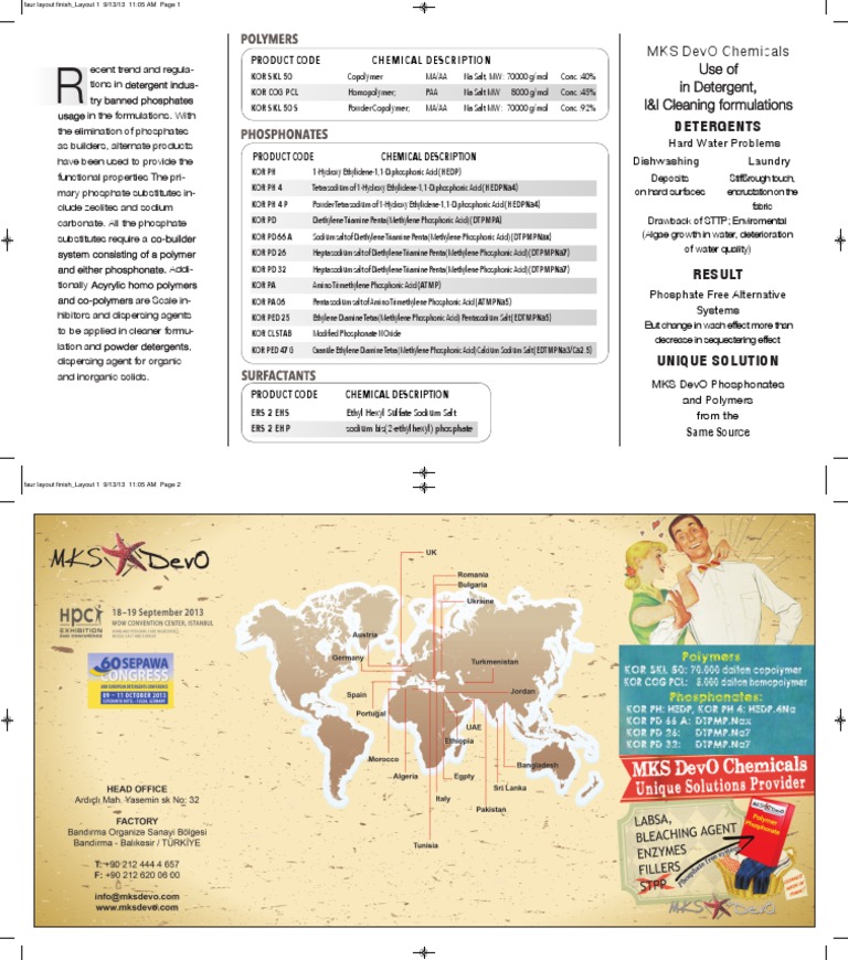 Phosphonates Polymers BROCHURE | PDF