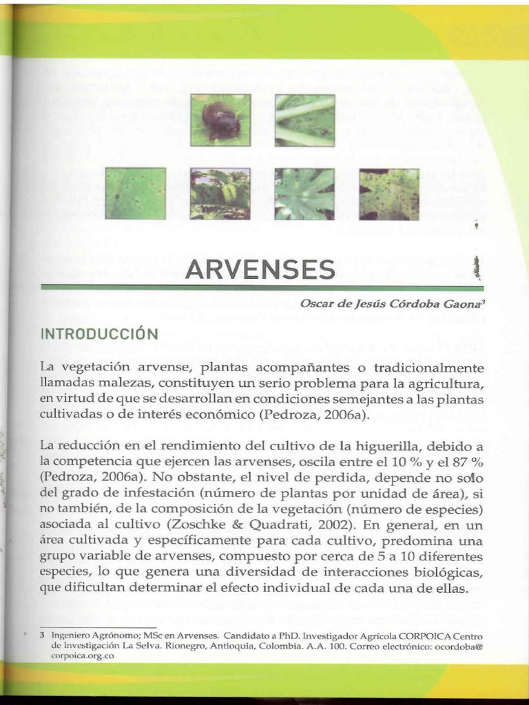 Arvenses | PDF | Hoja | Tallo de la planta