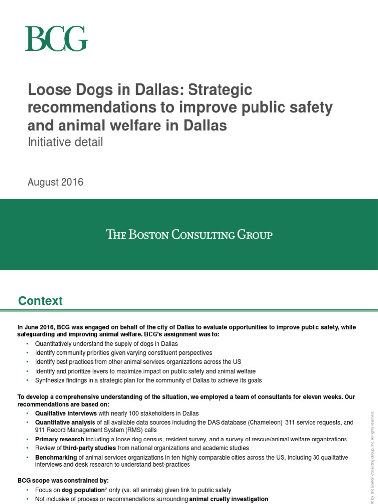 BCG Strategic Recommendations | PDF | Dogs | Pet