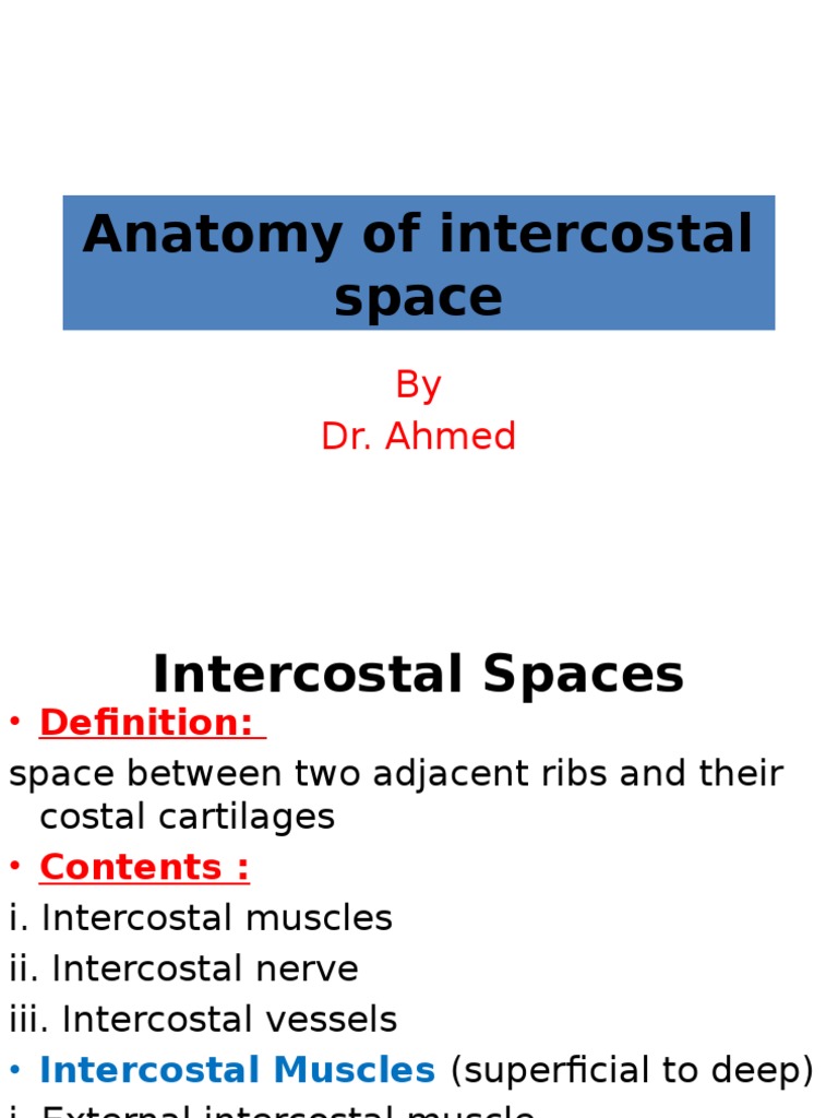 Intercostal Space Anatomy Overview | PDF | Thorax | Artery