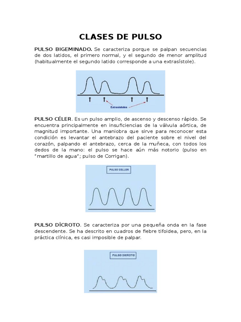 Clases de Pulso | PDF