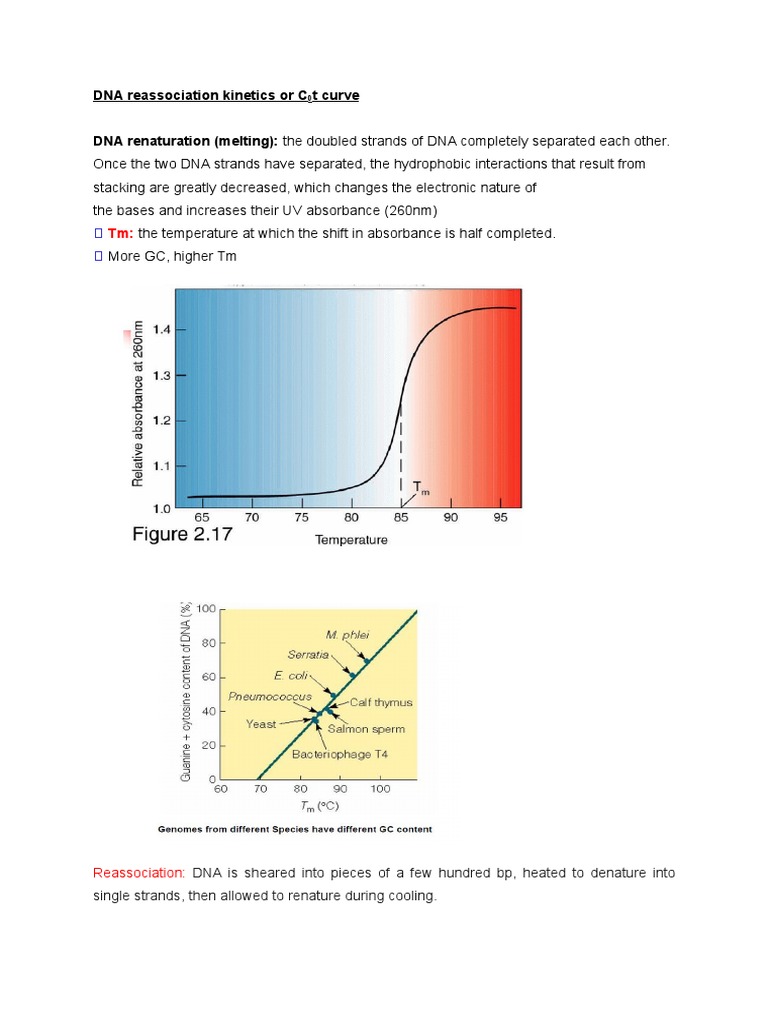 DNA Reassociation Kinetics or C0t Curve | PDF