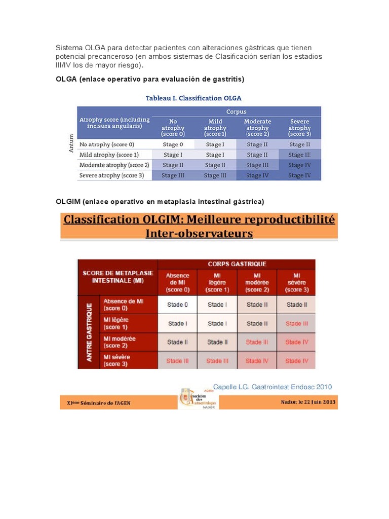Sistema OLGA y OLGIM en Gastritis | PDF | Ciencia y matemáticas