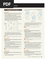 Nova Evolution Lab ANSWER KEYMissions1-3 PDF | PDF | Dinosaurs | Evolution