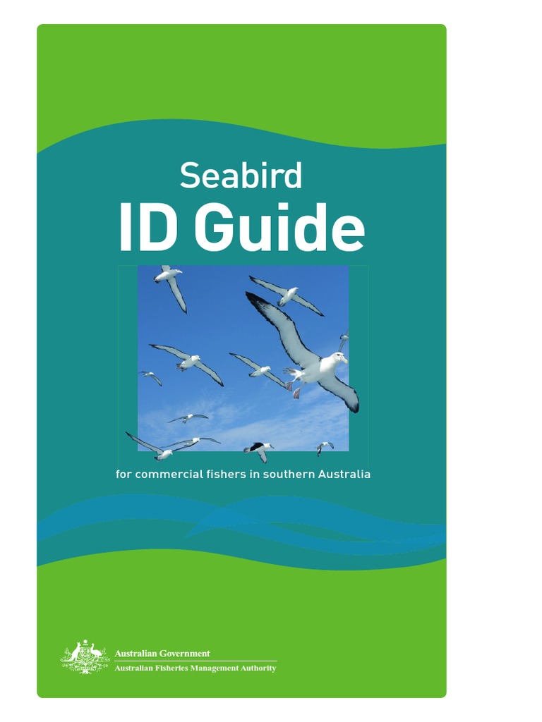 ID Guide: Seabird | PDF | Seabird | Tetrapods