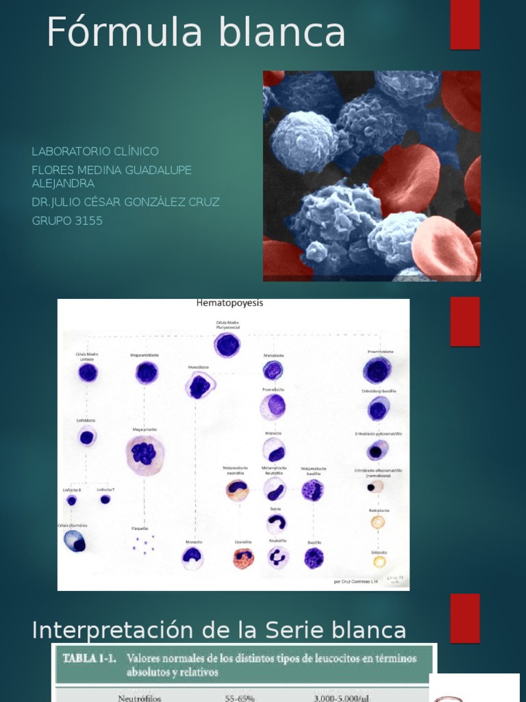 Fórmula Blanca | Descargar gratis PDF | Sistema inmune | Leucocito