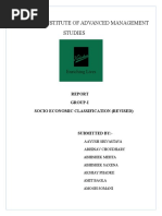 NCCS: New Consumer Classification System | PDF | Economies | Business