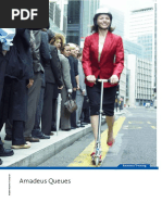 Amadeus Queue System Guide | PDF | Business | Computers