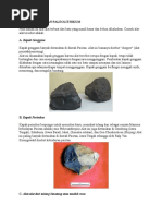 Kapak Lonjong: Alat Neolitikum dan Persebarannya | PDF