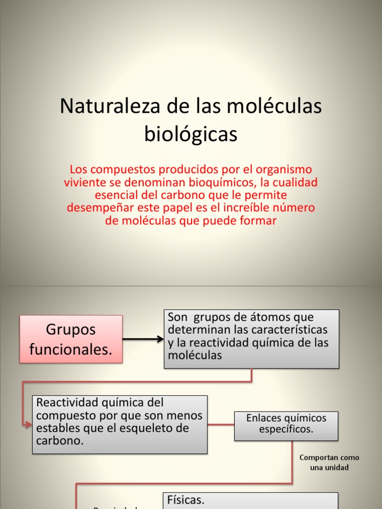 Tipos y funciones de moléculas biológicas | PDF | Macromoléculas ...