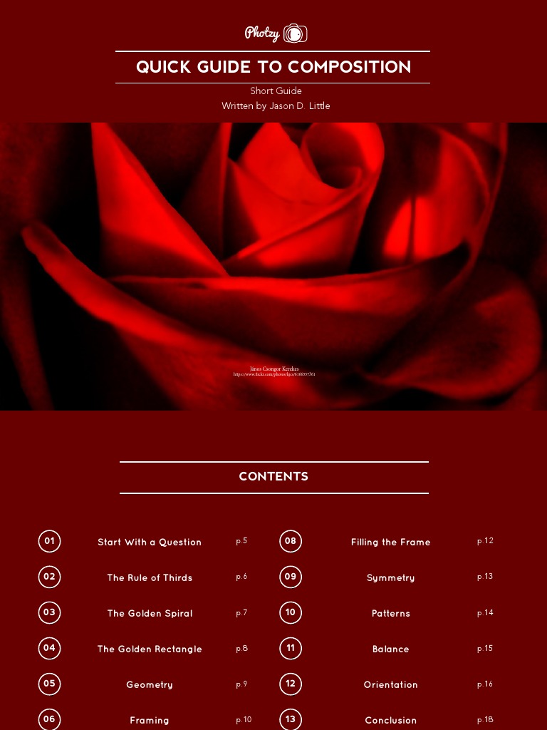 Quick Guide Composition | PDF | Composition (Visual Arts) | Vision