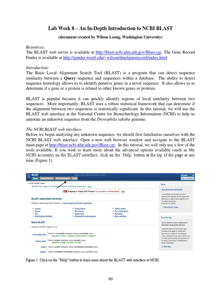 How To Use BLAST | PDF | Sequence Alignment | National Center For ...