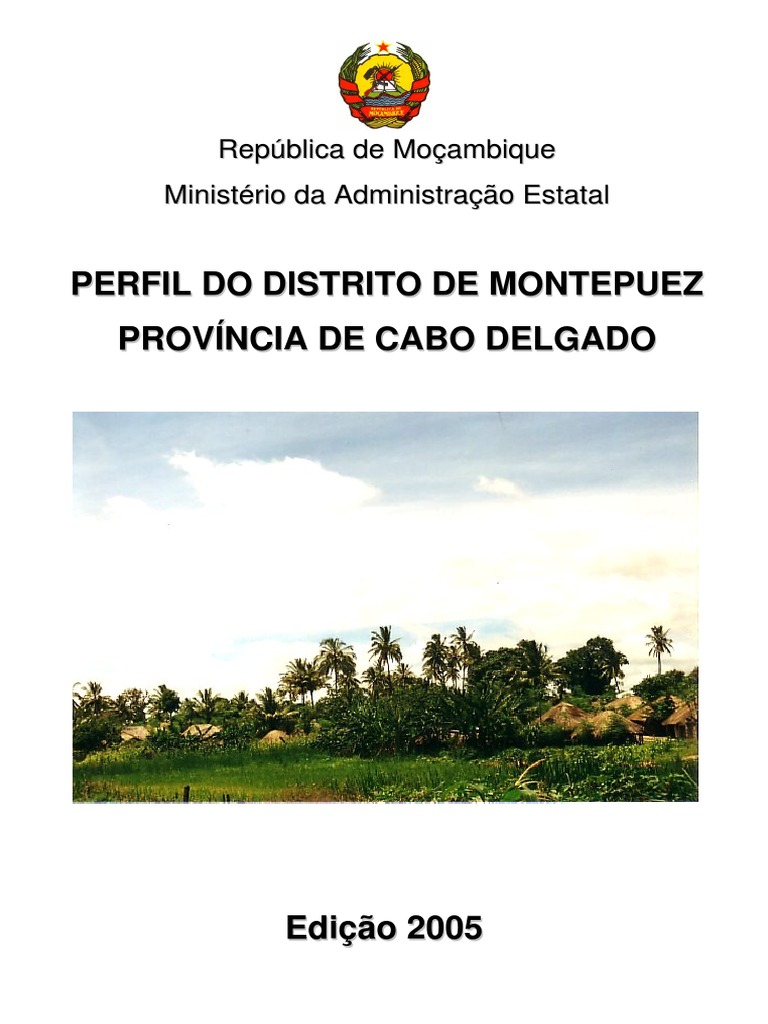 Perfil Do Distrito de Montepuez | PDF | Cidade | Agricultura